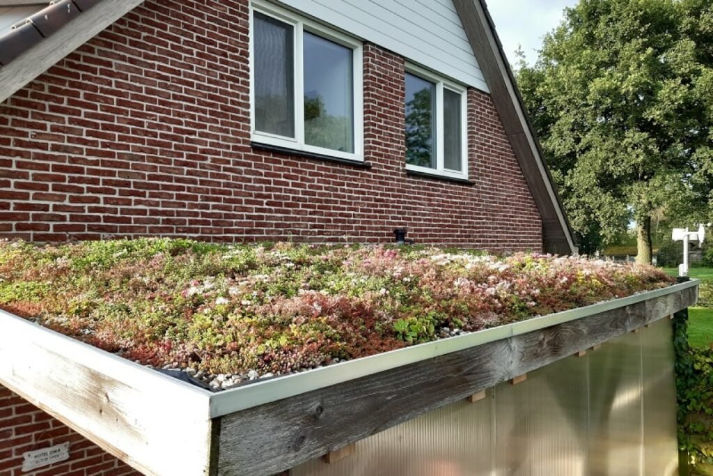 Sedumdak voor fietsenoverkapping | Duurzaam en beschermend